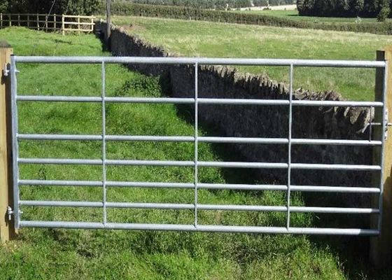 Cattle Metal Corral Fence