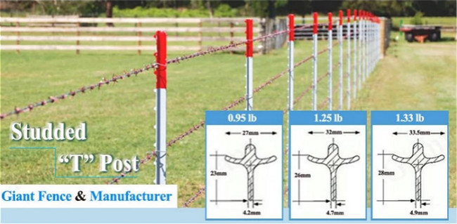 10 Ft Galvanized ISO Steel Studded T Post 10 Ft For Farm Fence