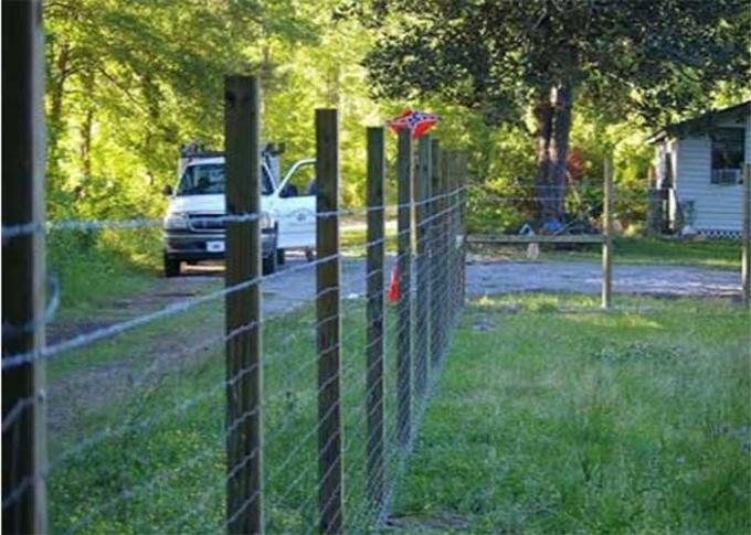 Farm 0.95lb/Ft 800mm Height Studded T Post Steel T Bar Fence Posts