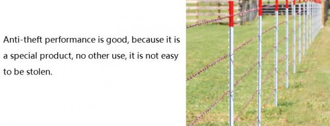 Galvanised T Bar Fence Post 1.25lb/Ft Studded T Post 6 Ft